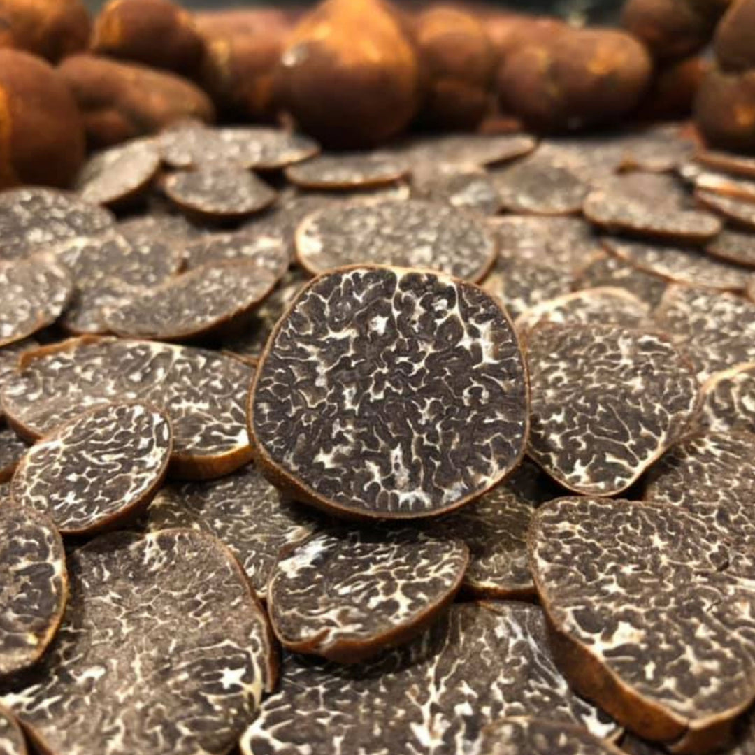 La culture de la truffe en Amérique-du-Nord – Truffes Québec